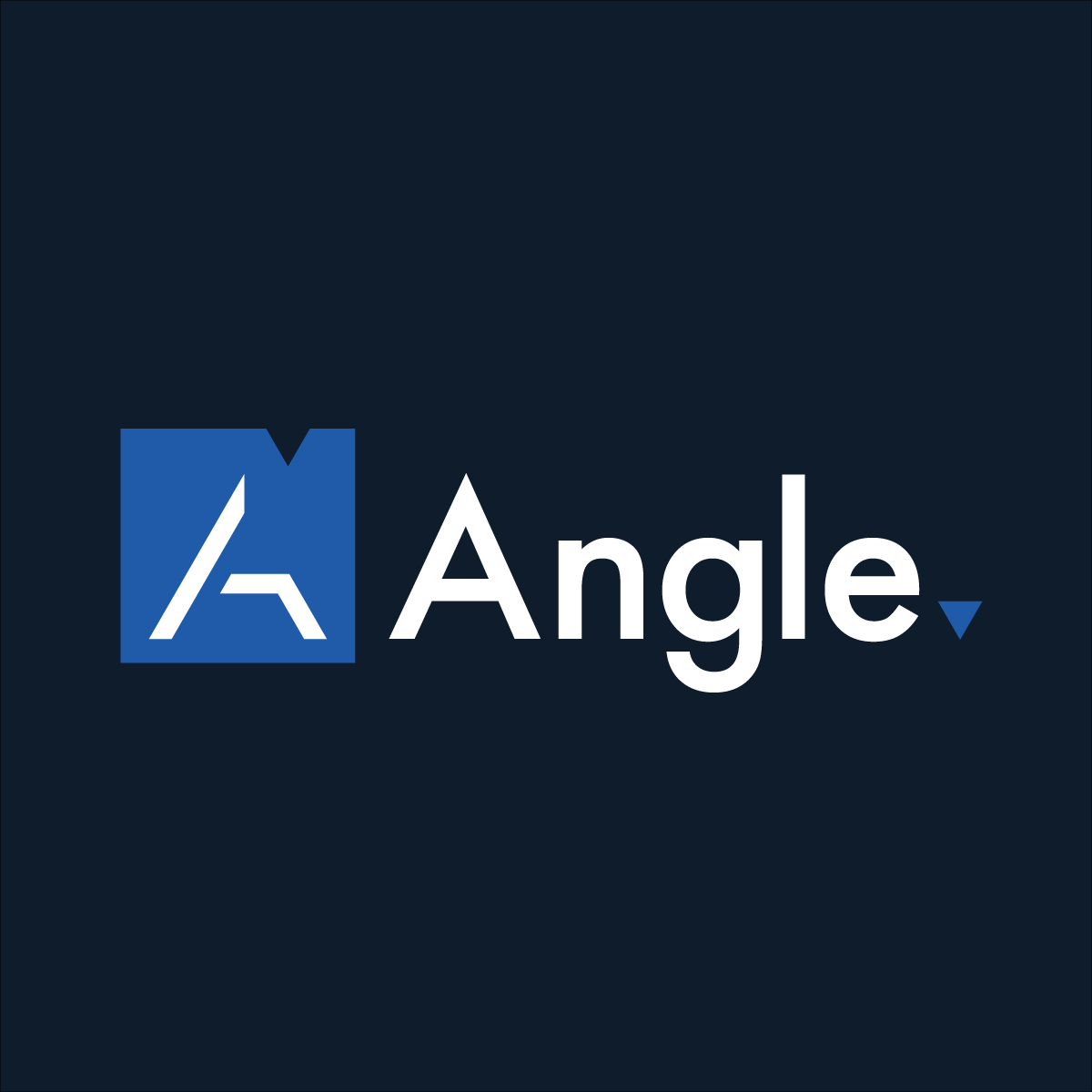 Angle Consulting